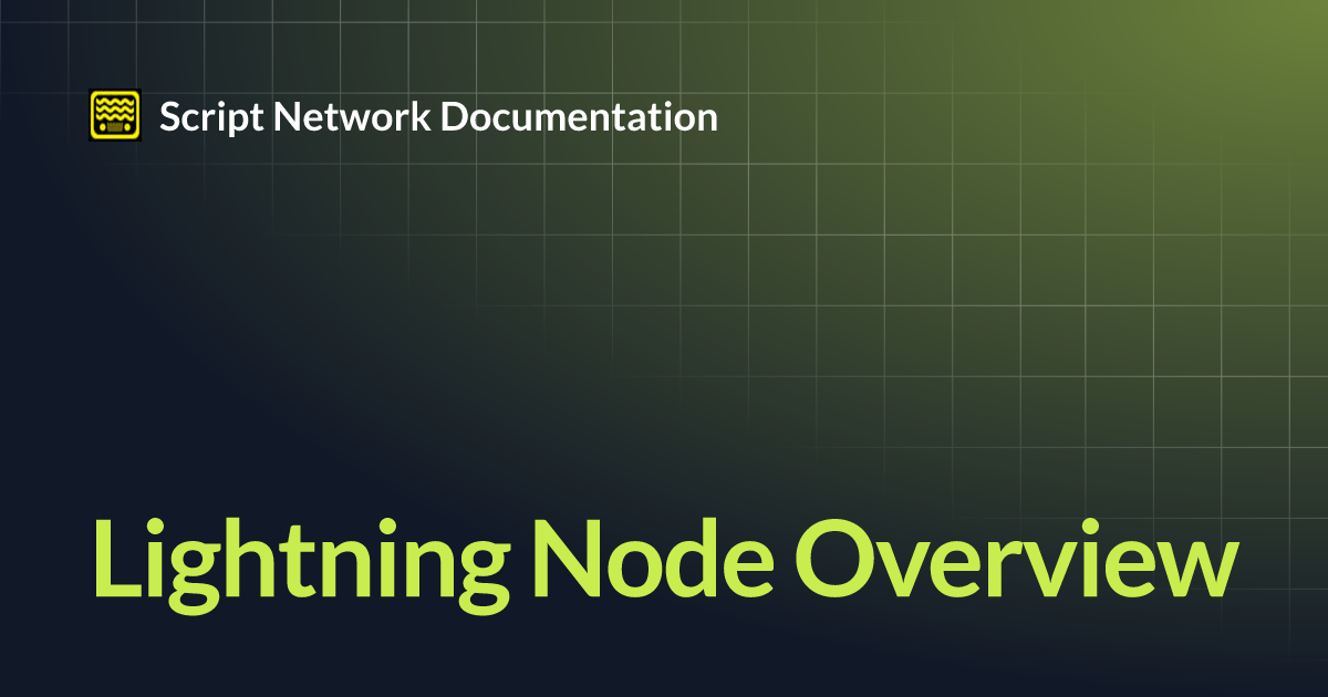 Lightning Node Overview Script Network Documentation 5560