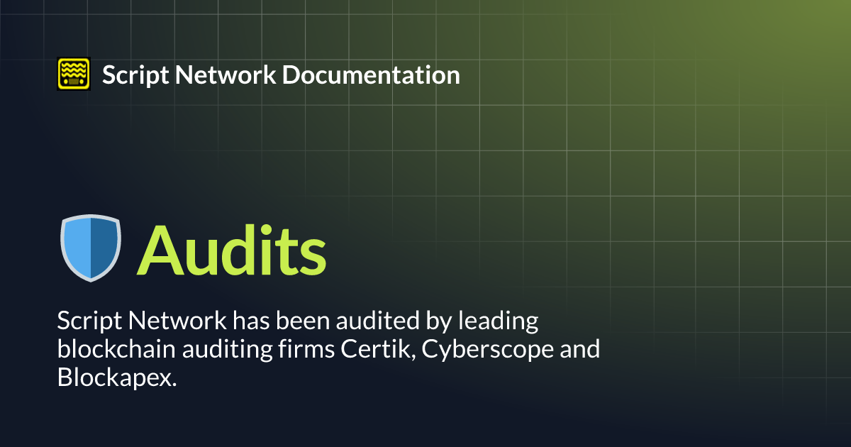 🛡️ Audits | Script Network Documentation 🛡️ Audits | Script Network Documentation